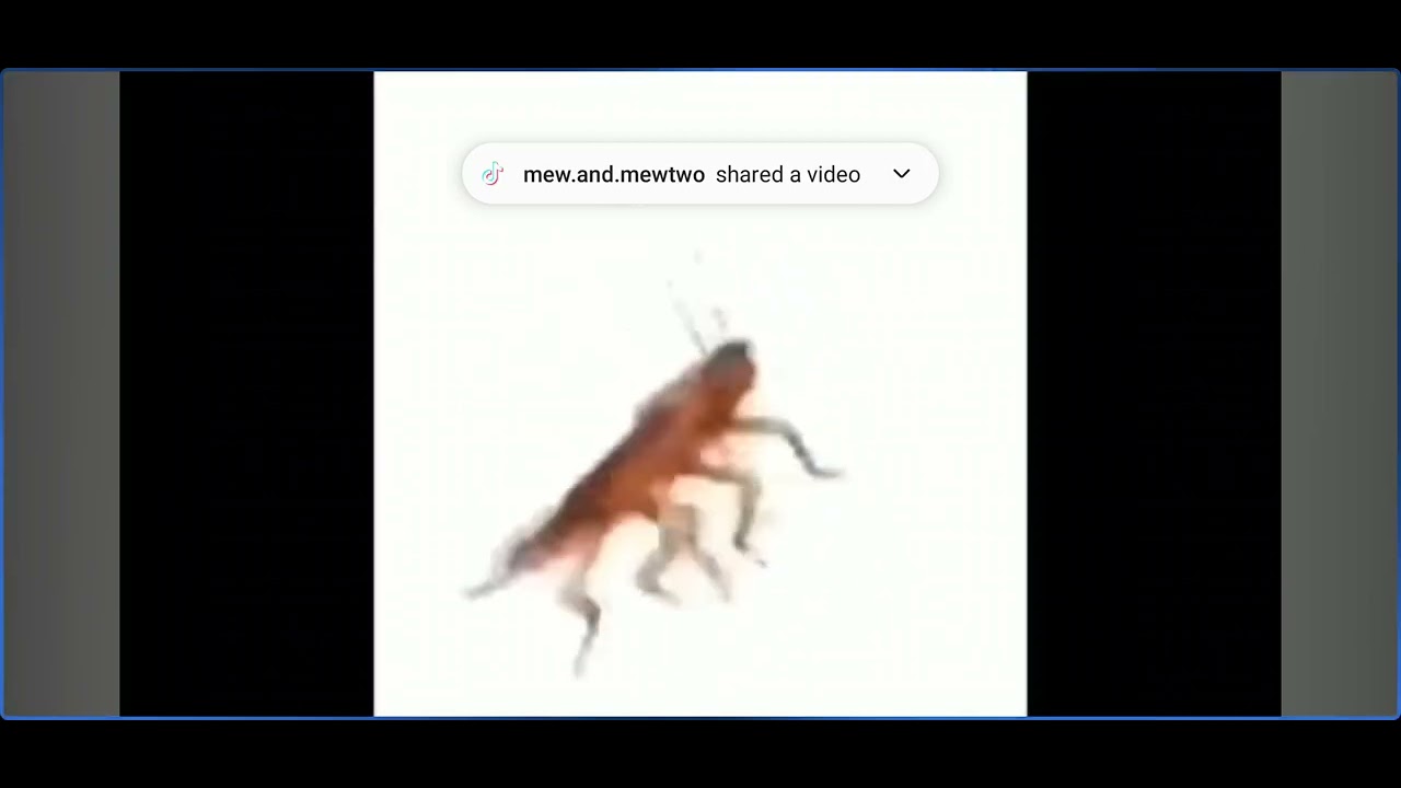 Dancing cockroach mexican song - YouTube