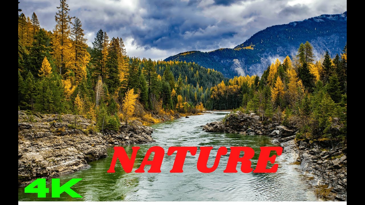 Nature 4K Relax Ril |Relaxing Nature Sounds for Studying, Birdsong ...