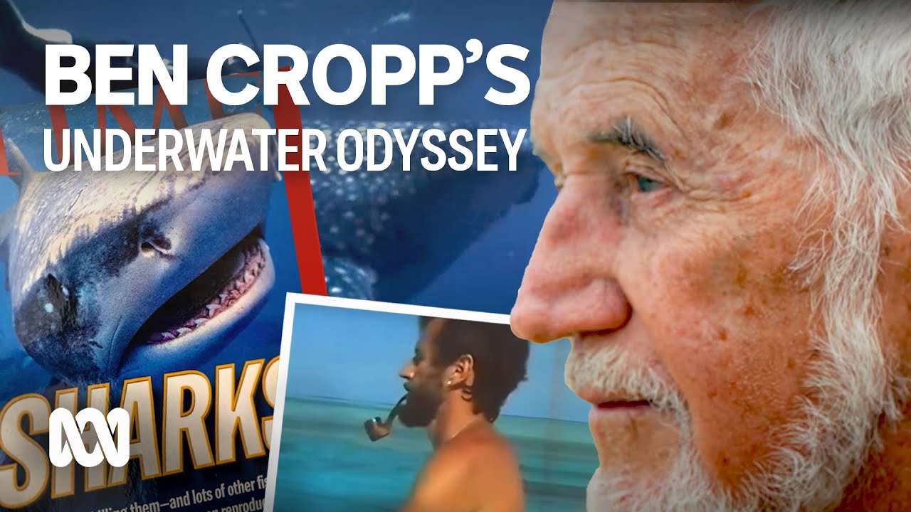 Ride on a 'monster' changed the life of underwater adventurer Ben Cropp ...