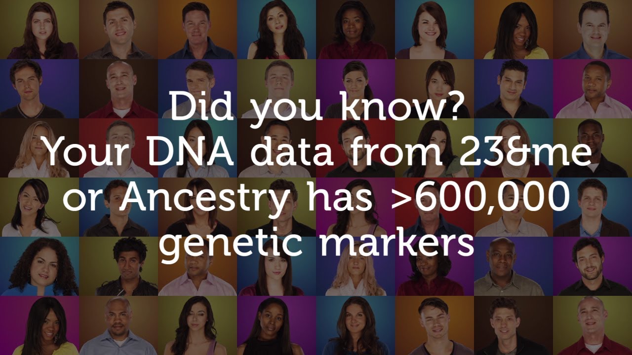 23andme/Ancestry/FTDNA DNA raw data interpretation and analysis - YouTube