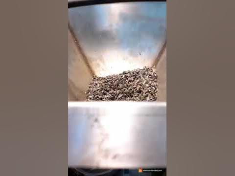 macchina pressa Spreme semi oleosi professionale - YouTube