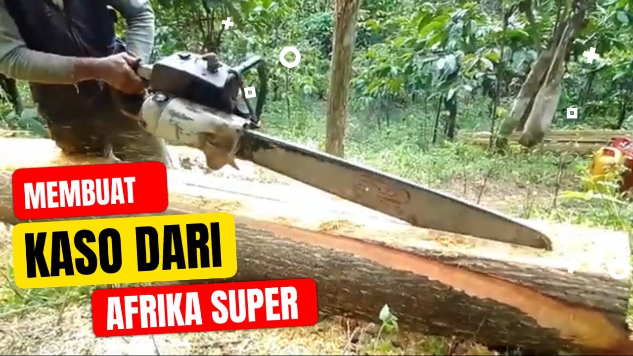 Proses Detail Membuat Kaso 5x5 dari Kayu Afrika Menggunakan Chainsaw ...