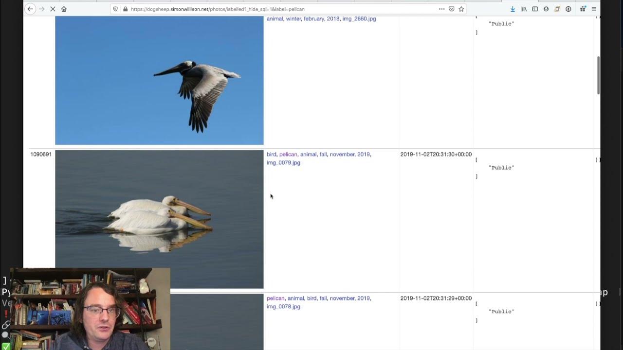 Datasette - an ecosystem of tools for working with small data - YouTube