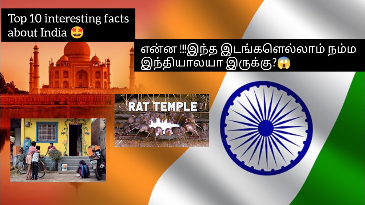 #indiafacts (@ithunammashorts50 )#youtubevideos - YouTube