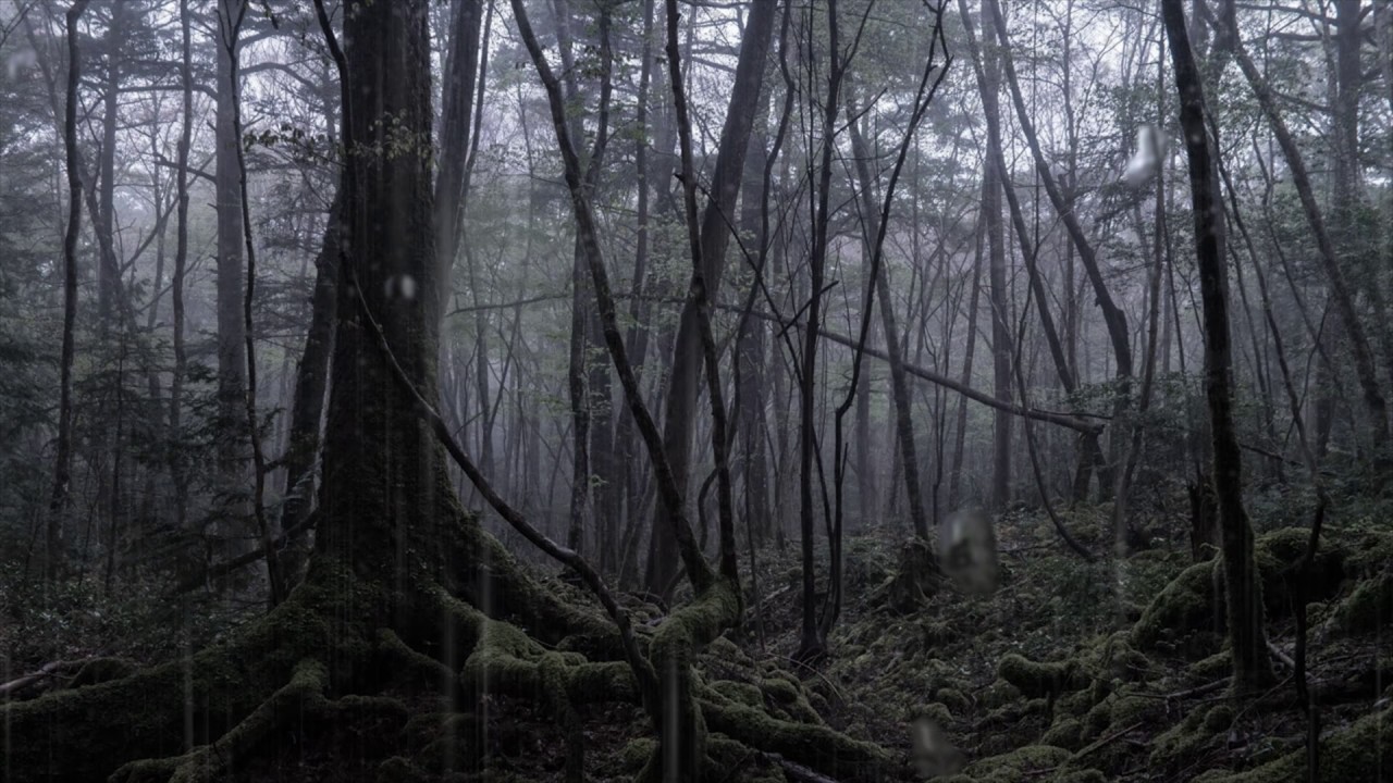 rain effect - YouTube