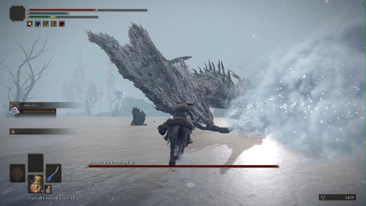 ELDEN RING - Borealis, the Freezing Fog - YouTube