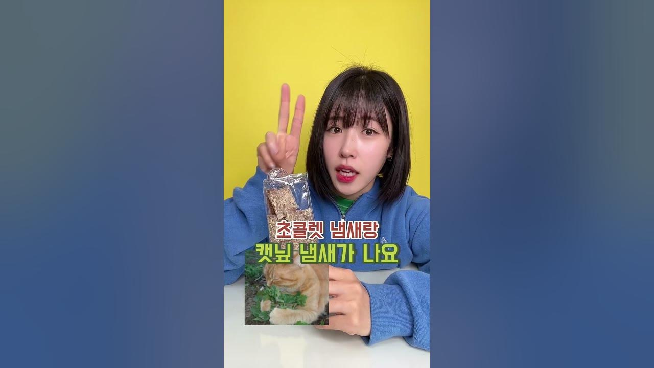 베트남 두리안 초콜릿 리뷰 Youtube