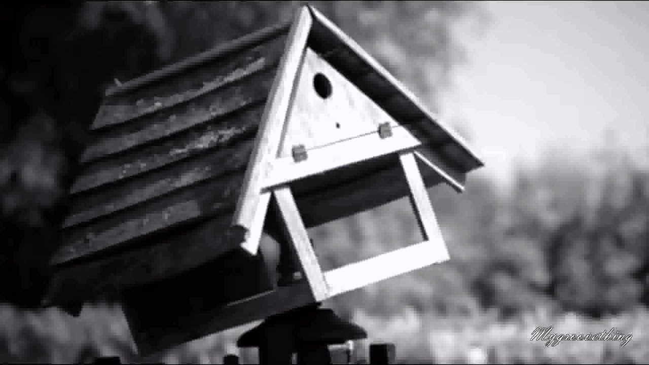 Love Letter ~ Nick Cave ♫ - YouTube