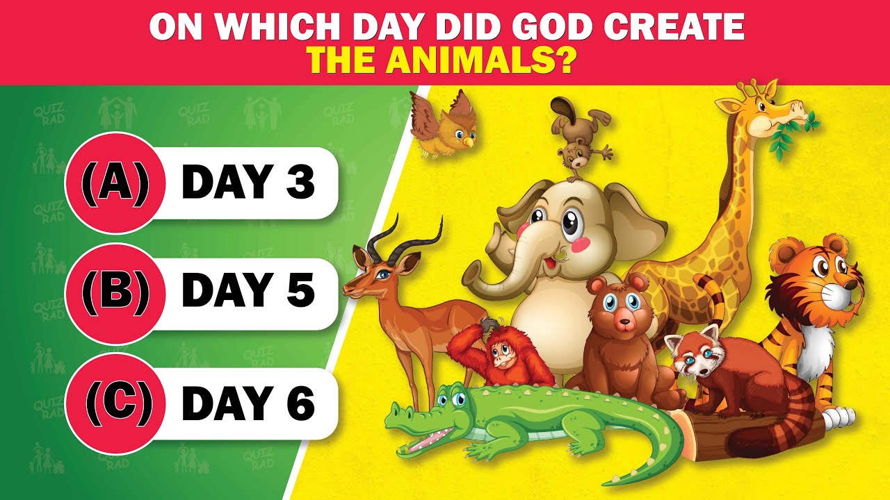 How Well Do You Know the Creation Story? | Bible Quiz | Quiz Rad # ...