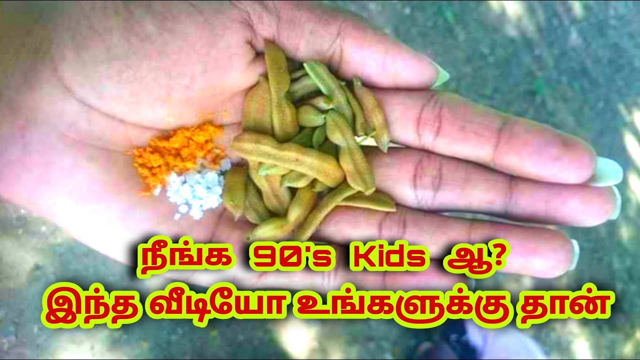 Memories of 90's Kids | 90s kid memories | 90 kids memories | childhood ...