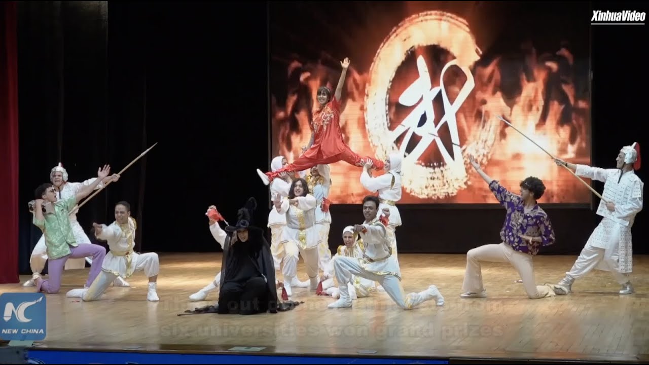 "Chinese Bridge" competition for university students concludes in N ...