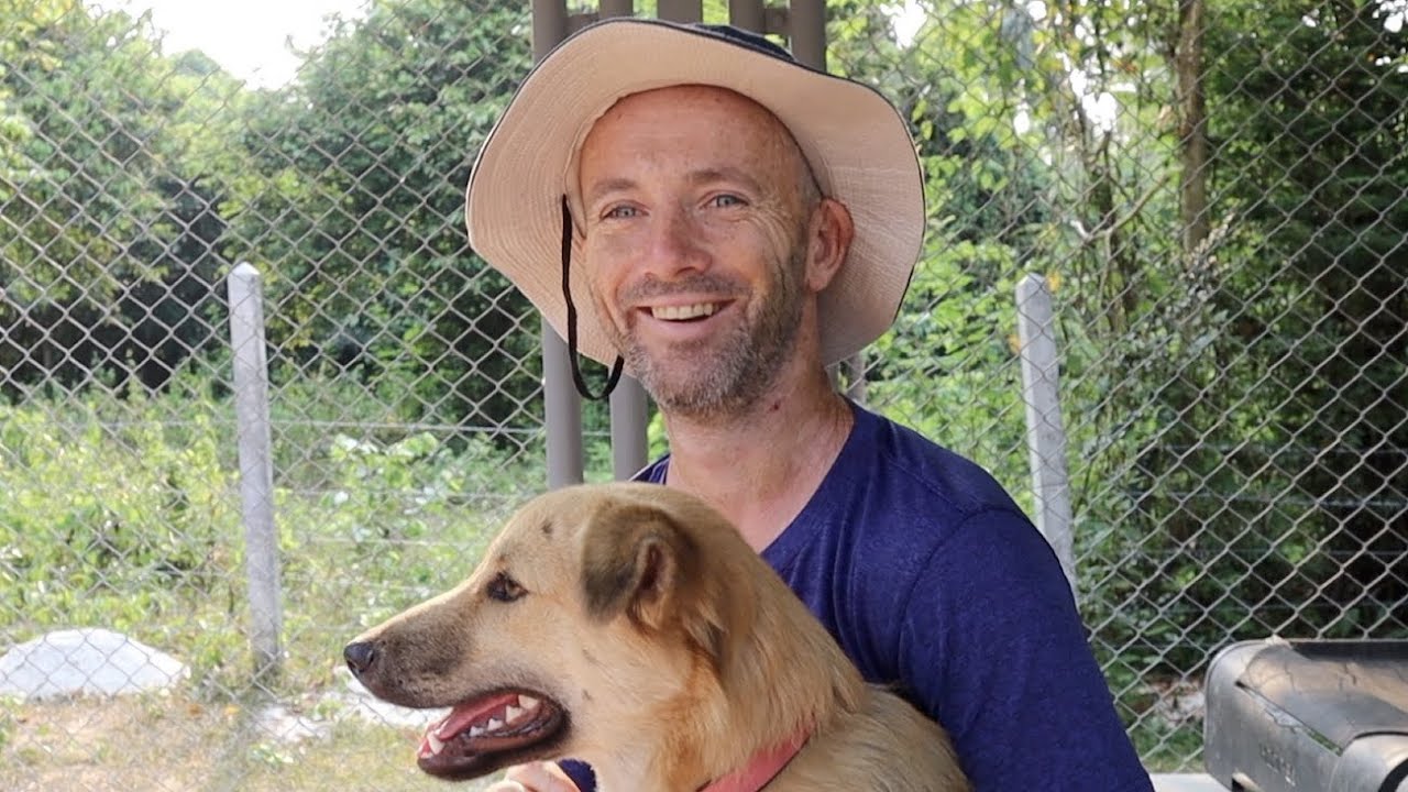 Searching for Niall Harbison's dog rescue centre in Thailand - Koh ...