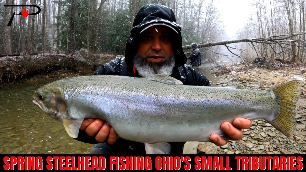 Ohio Spring Steelhead Fishing In Small Tributaries - YouTube