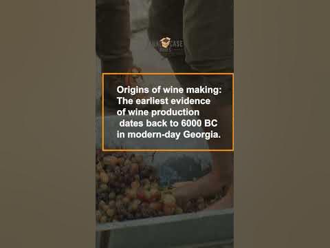 Wine Fact - Winemaking 101 - Everything Vino Facts - YouTube