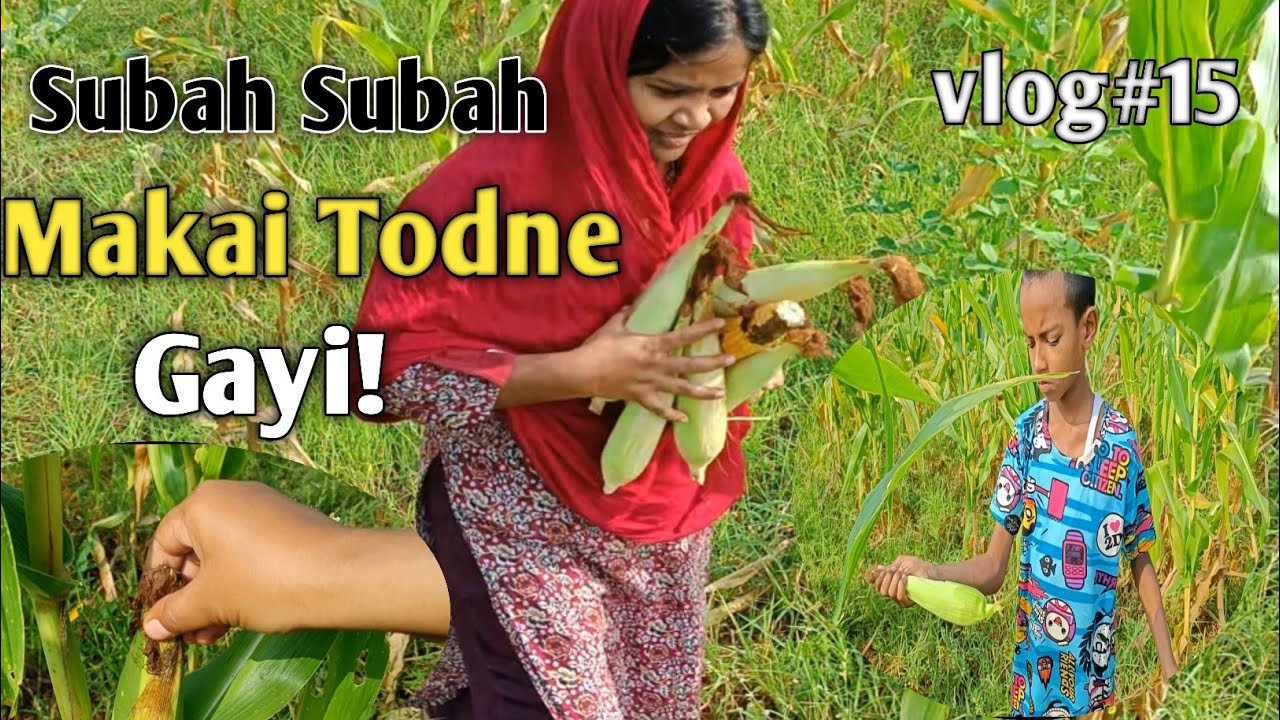 Subah Subah Makai Todne Gayi 🌽 | Khet Se Ghar Tak Ka Safar | Village Life Vlog! Misskajal2.0 ...
