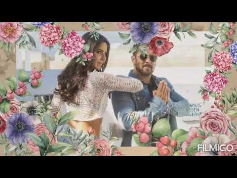 ☺️☺️☺️Swage Se krege Sabka Sawagat☺️☺️☺️☺️☺️☺️Salman Khan 🙂🙂🙂🙂