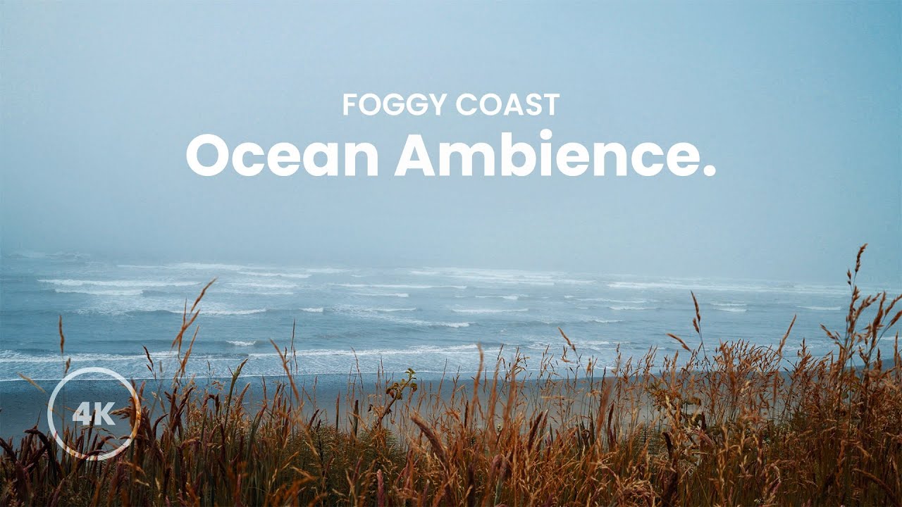 Ocean Waves on a Foggy Morning | Coastal Nature Sounds for Sleep ...