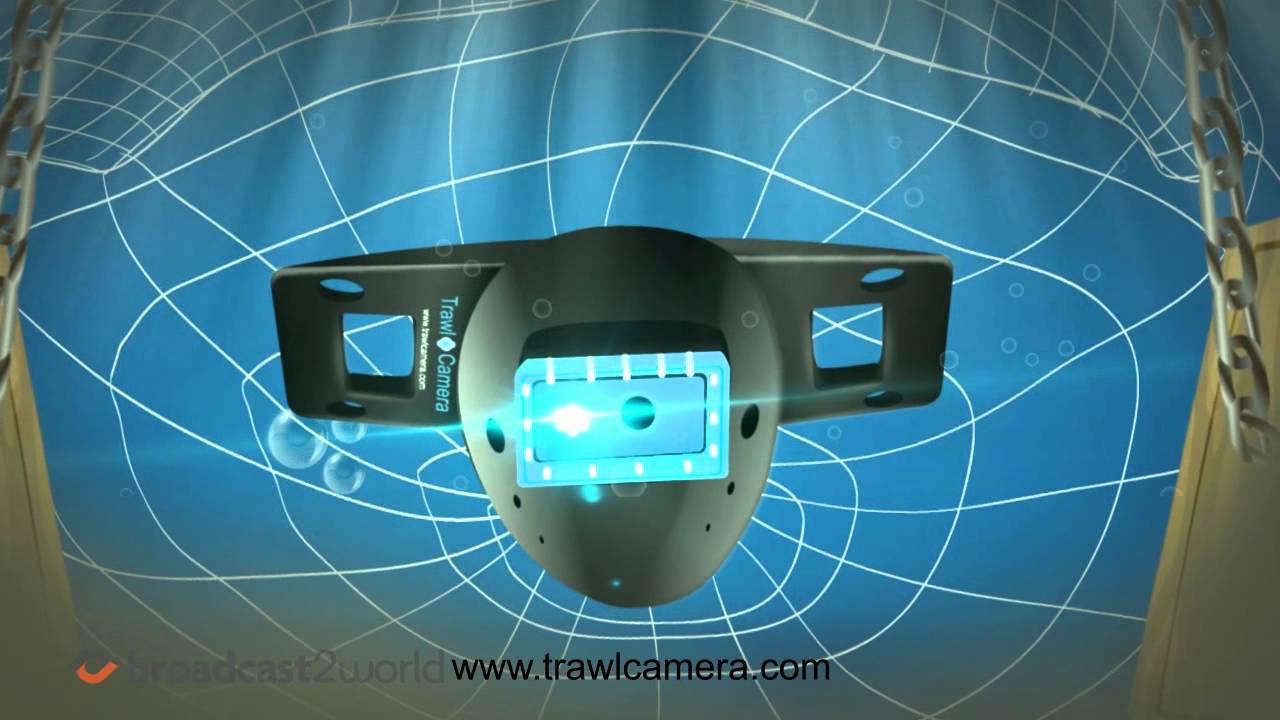 Animated Video For Underwater Camera Selling Company | Trawl Camera ...