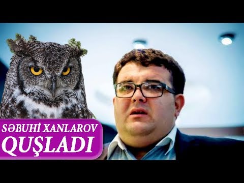 Səbuhi Xanlarov quşladı...