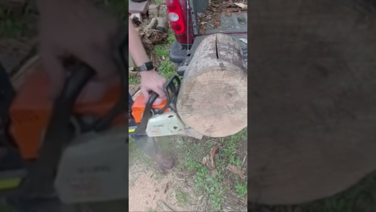 Stihl s WORST chainsaw Stihl MS 180