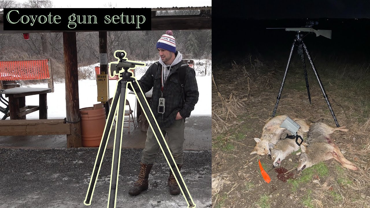 Solo Coyote Hunting Setup - YouTube