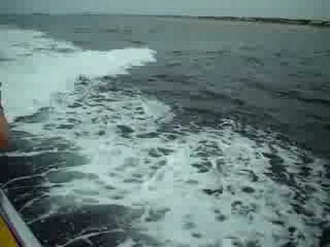 Dolphins swimming Virginia Beach - YouTube