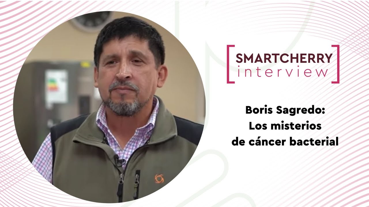 Boris Sagredo: Los misterios del cáncer bacterial - YouTube