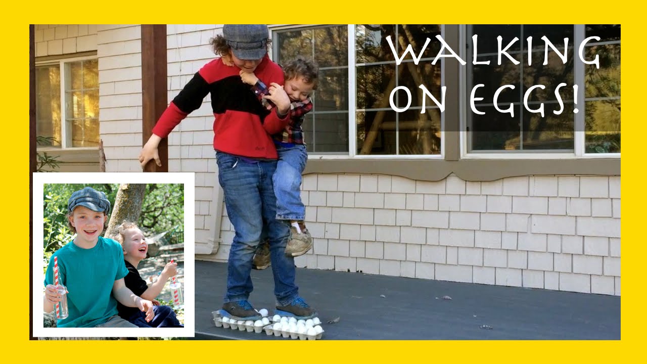 Walking on eggs (with a chicken and your brother and both...) in a cool ...