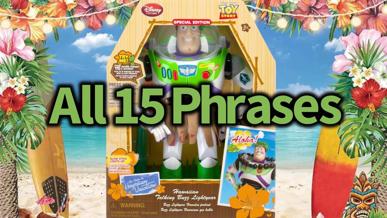 All 15 Phrases for the Disney Store Hawaiian Vacation Special Edition ...