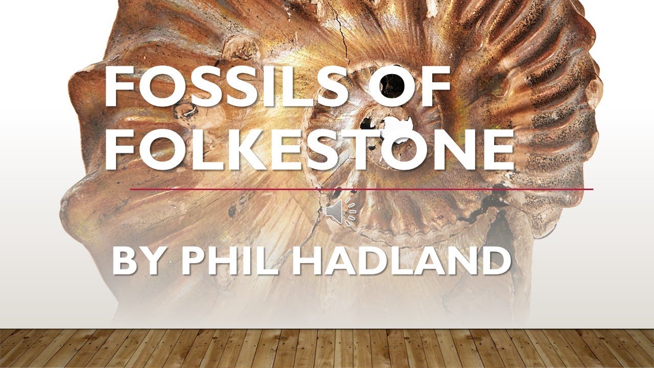 Fossils of Folkestone Talk by Phil Hadland - YouTube