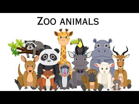 Zoo animals cartoon Zoo animals name in english - Zoo animals video for ...