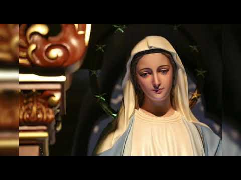 may-28|| Our lady of Immaculate conception || அமல உற்பவ அன்னை ||AVE ...