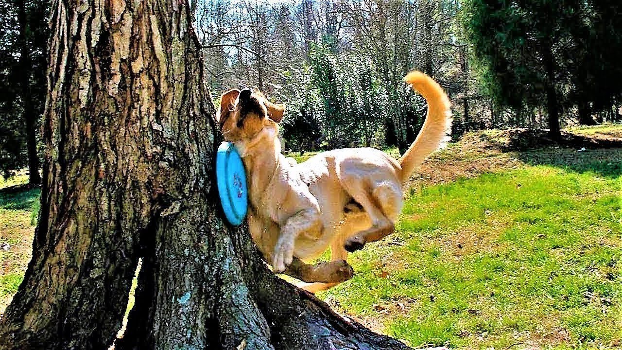 Try not to laugh at funny memes tik tok fail 2023 The best compilation ...