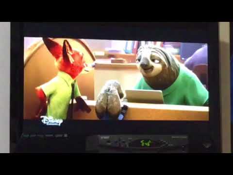 Zootopia at DMV With Nick Wilde and Judy Hopps are The Red Fox 🦊 and ...