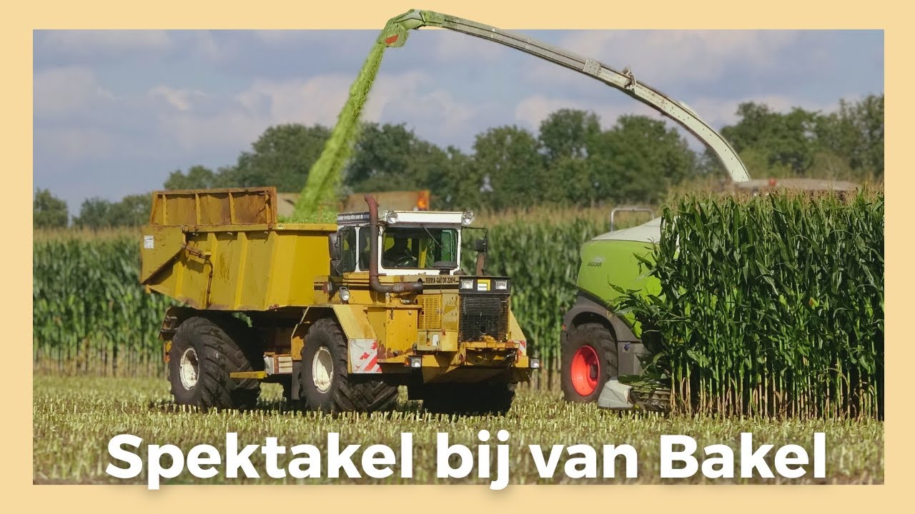 Spektakel Bij Van Bakel | Vredepeel 2025 - YouTube