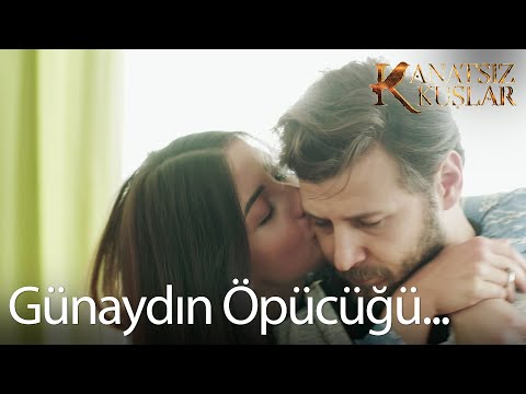 Onur ve Zeynep nasıl bir evli çift olurlardı? - Kanatsız Kuşlar🕊🕊