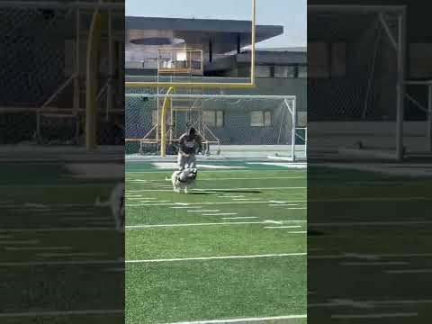 Dog vs human race 🐶 #dogs #shorts