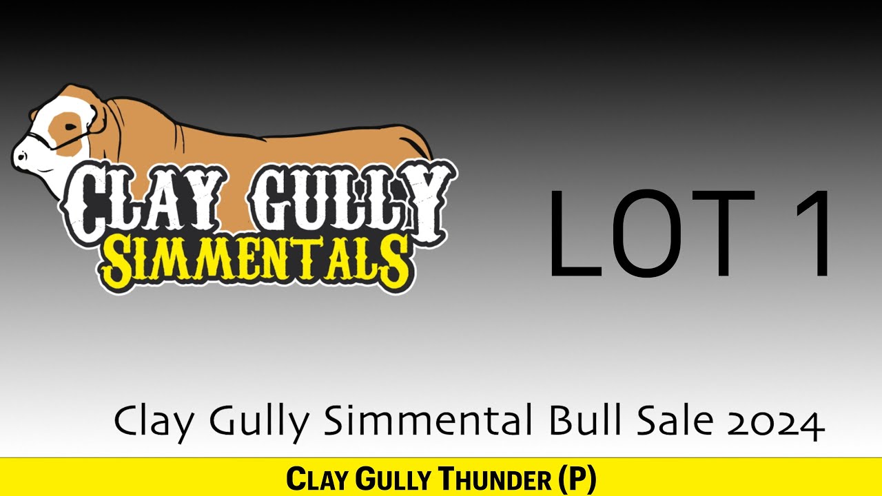 Lot 1 Clay Gully Thunder (P) - YouTube