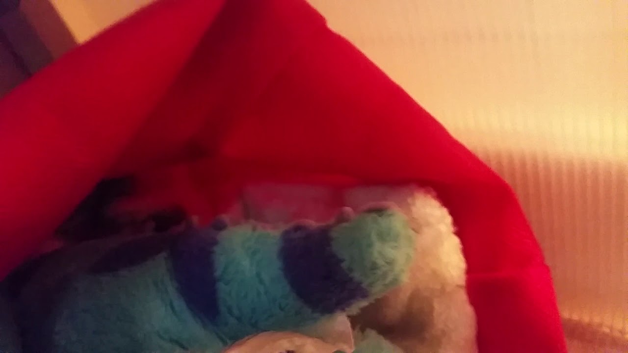14 july 18 - baby shifu zzz in her recycle bag n snuggle his soft toy ...