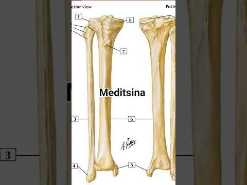 Meditsina doctor book