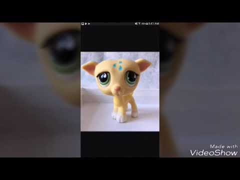 Lps slide show!! - YouTube