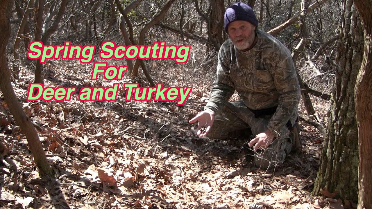 Spring Scouting for Deer and Turkey on Public Hunting Land - YouTube