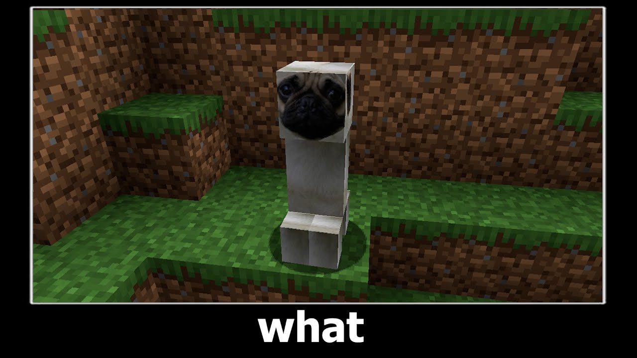 Minecraft Wait What Meme Part 3 (Realistic dog creeper) - YouTube