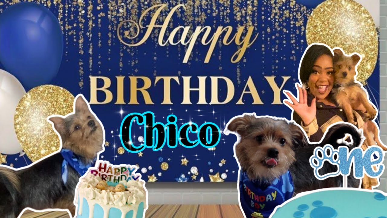 Chico Baby's 1st Birthday(THANKFUL🐶🐾🎉) - YouTube