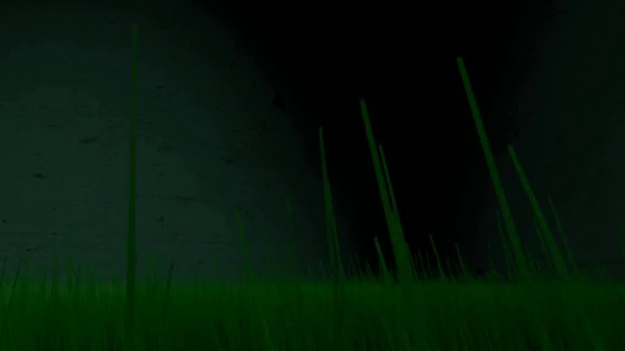 grass wind animation test - YouTube