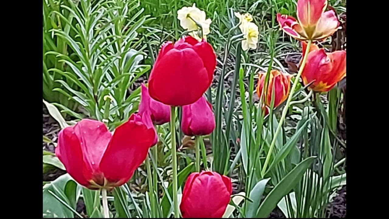 710 SEMNE IN BIBLIE 10 Decembrie2022 - YouTube