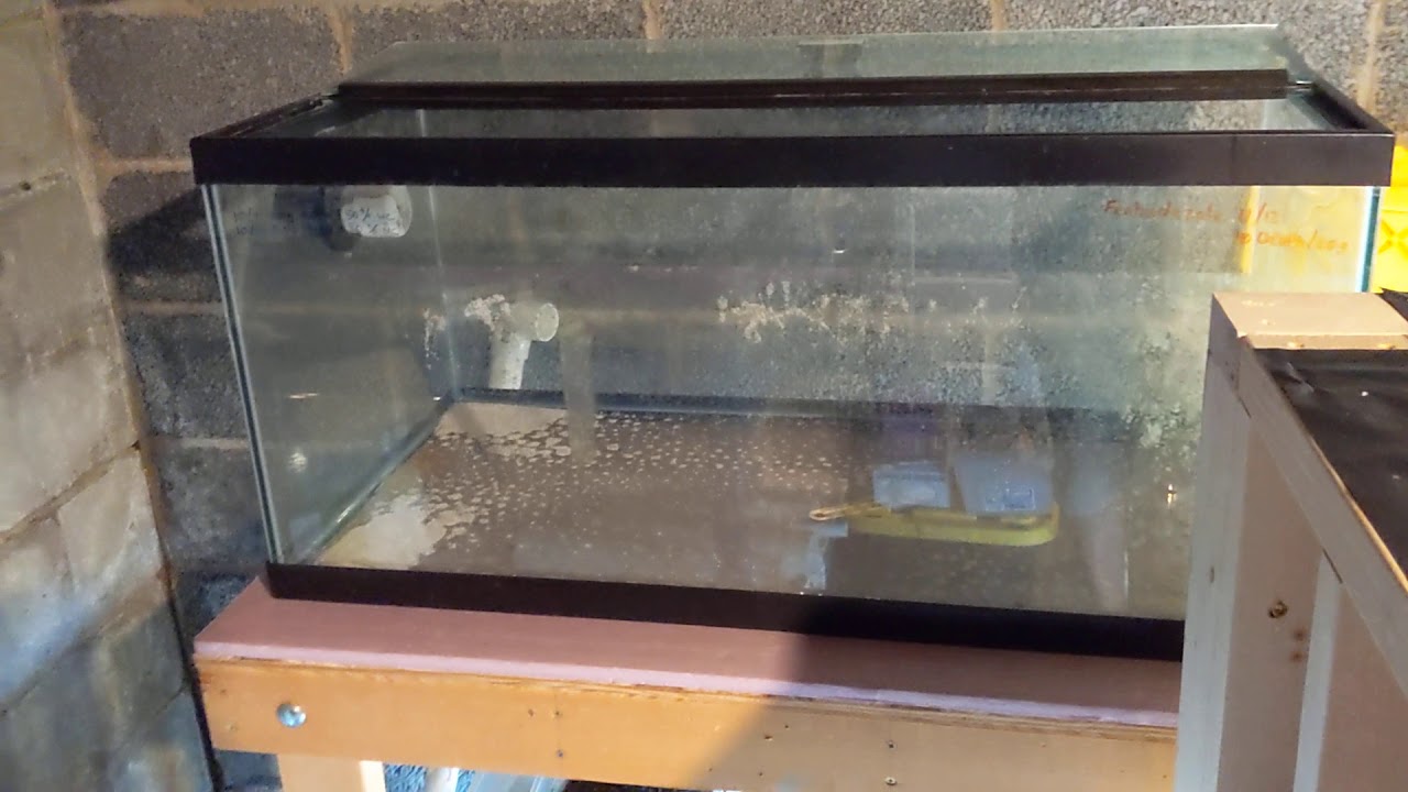 Red mangrove flood basin construction is complete - YouTube