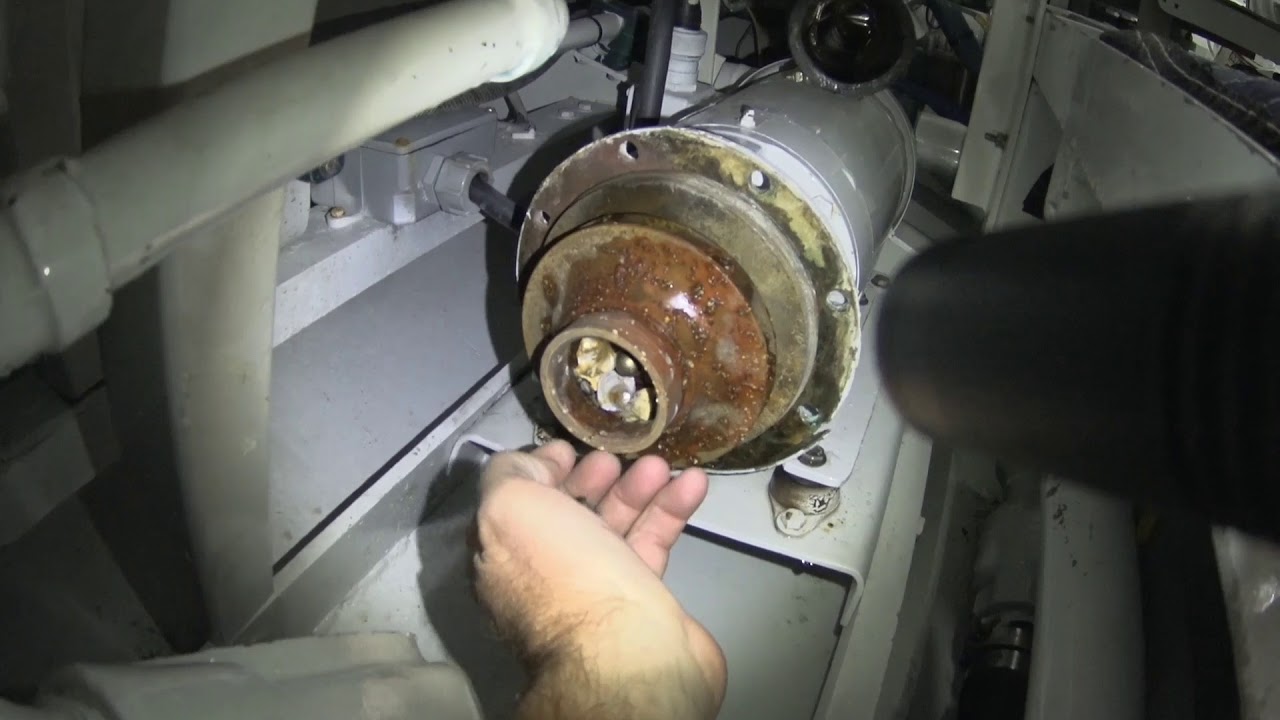 Exhaust raw water pump impeller clogged. - YouTube