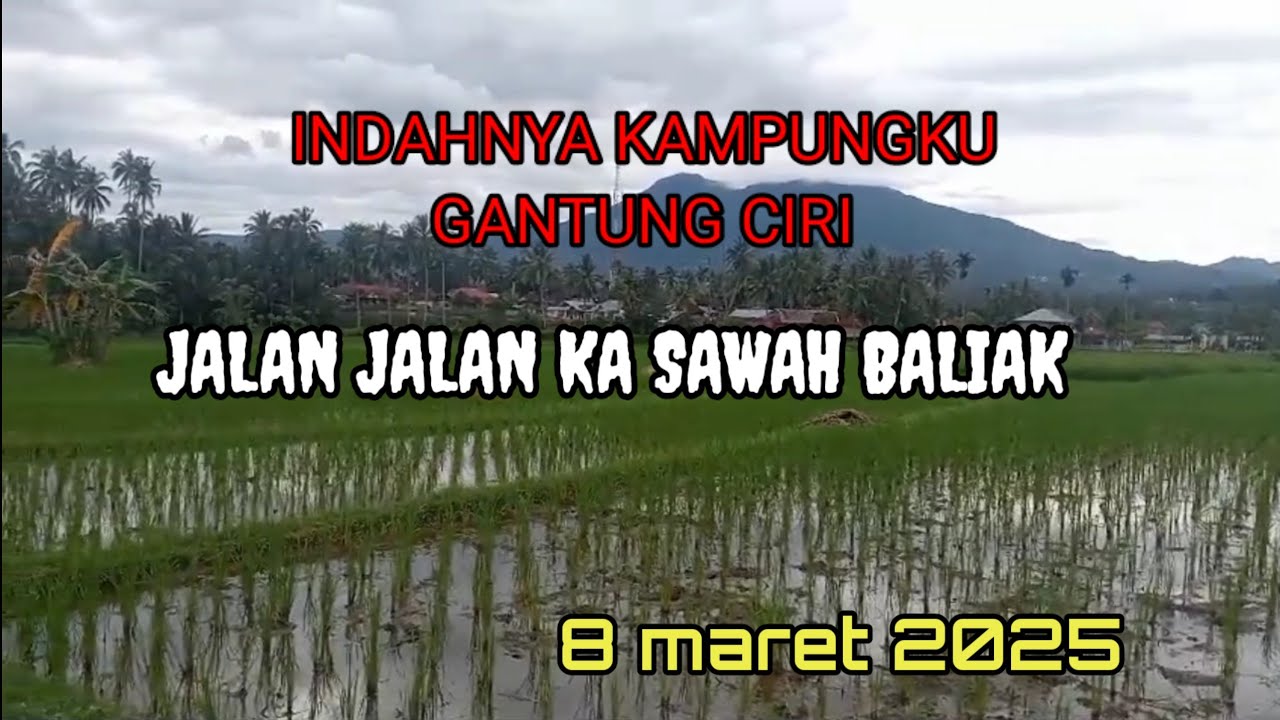 INDAHNYA KAMPUNGKU GANTRI#Jalan jalan KA sawah baliak - YouTube