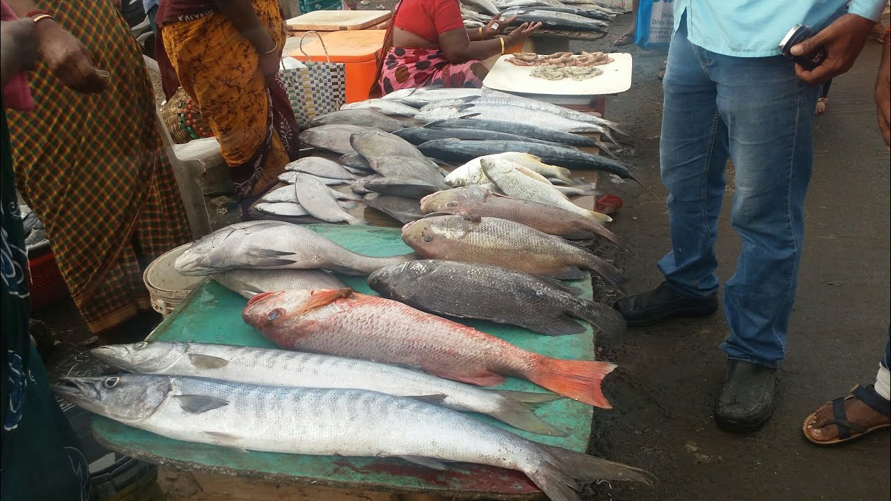 kasi medu fish market fresh fish - YouTube